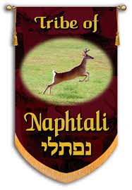 “NAPHTALI/NAFTALI, the Sweet and Swift DEER/DOE” – [YAHUSHUA HA ...