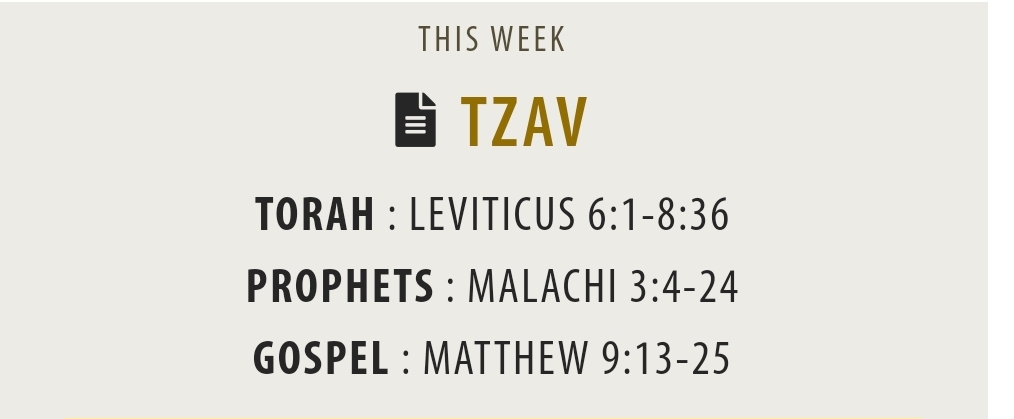 TZAV/COMMAND : THE TABERNACLE SERVICE / WORSHIP SYSTEM – THE KORBAN ...